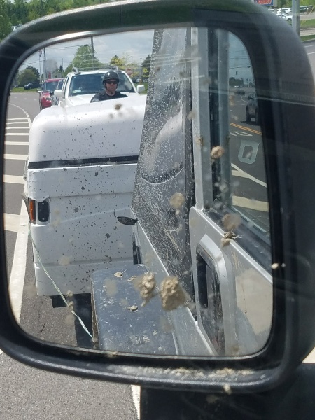 Just A Girl Her Dog And Her Jeep – Ladies Offroad Network