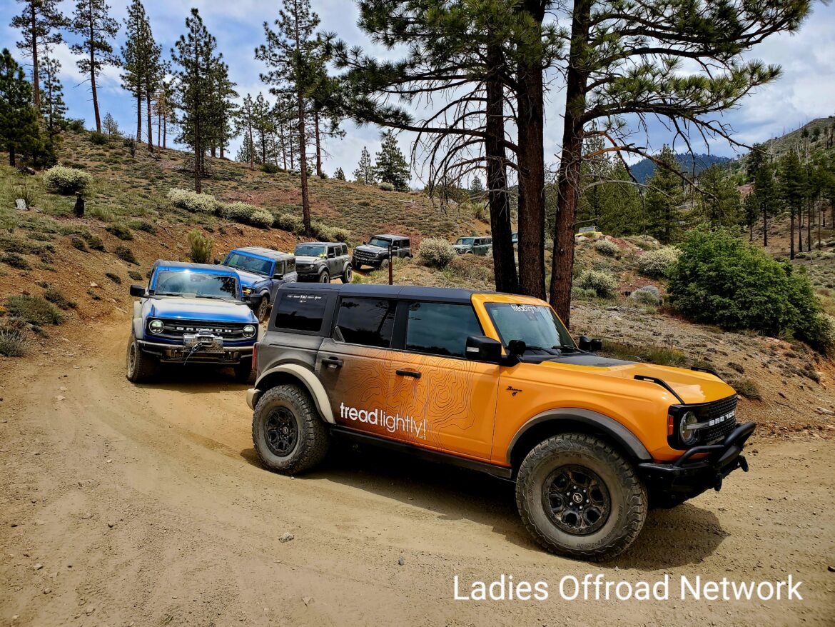 2023 Bronco Bash – Ladies Offroad Network